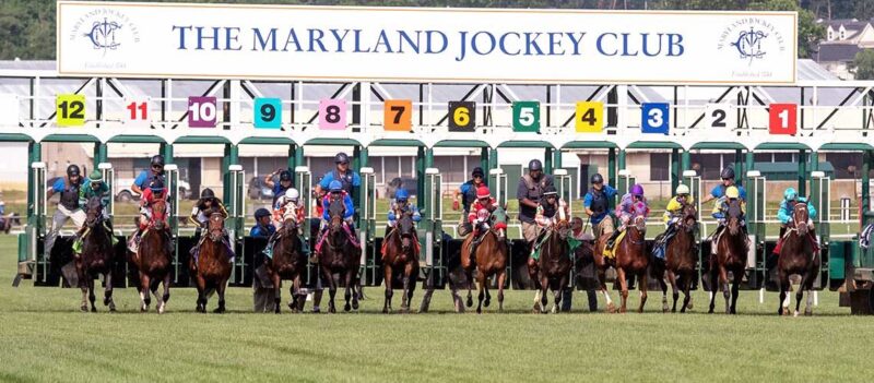 Laurel Park Horse Racing Picks & Insider Analysis - Todays Racing Digest